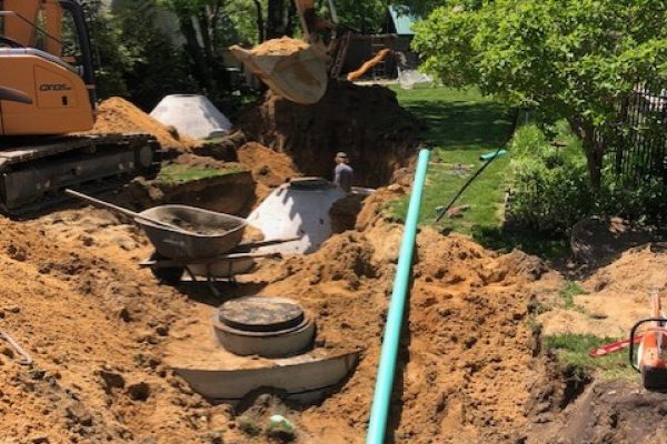 environmental design - perch structures